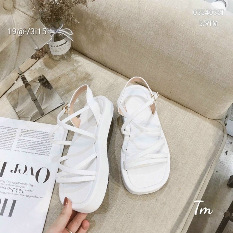 Standal giá tốt Tháng 11,2022|BigGo Việt Nam