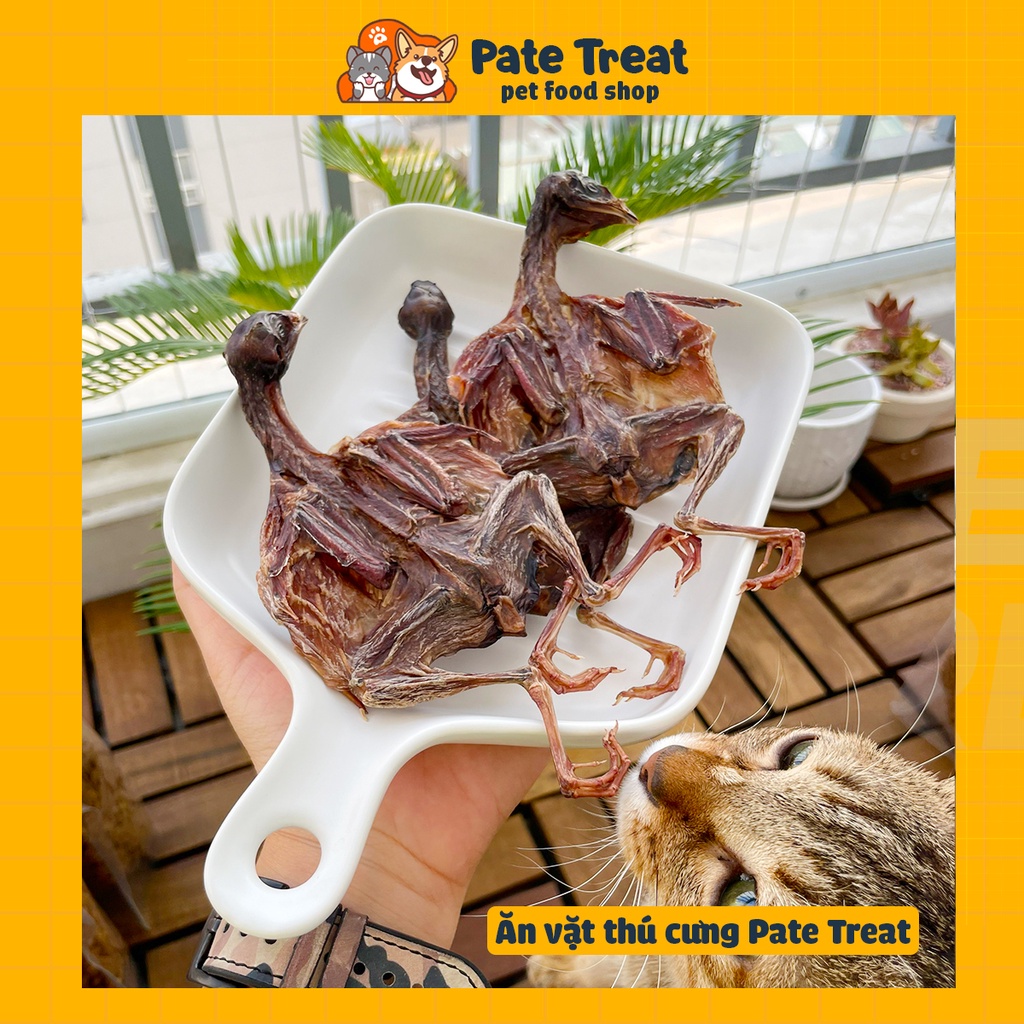 Mua Treat Bánh Thưởng Cho Chó Mèo Chim Cút Sấy Khô PATE TREAT Homemade ...