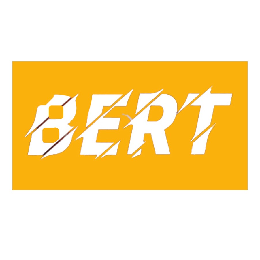 BERT Tool Flagship Store, Cửa hàng trực tuyến | Shopee Việt Nam