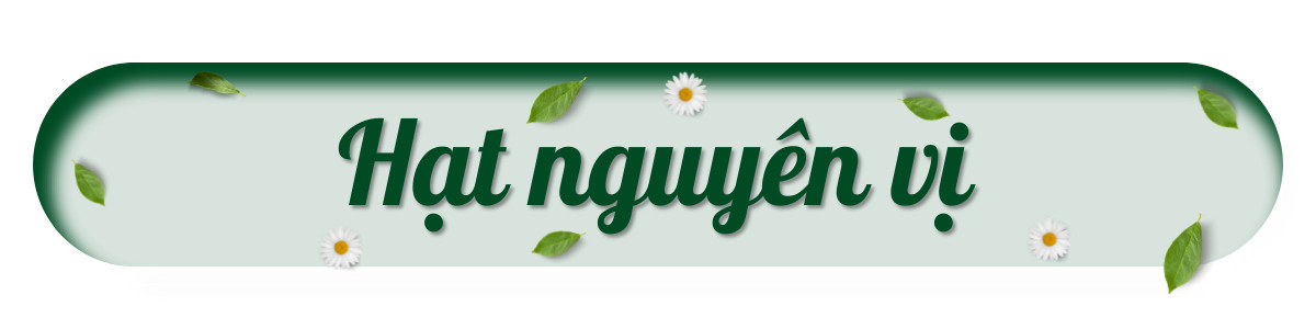 Hapi Bee, Cửa hàng trực tuyến | Shopee Việt Nam