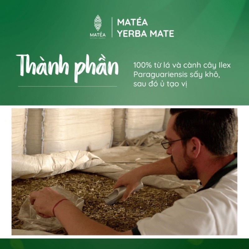 Mua Trà Yerba Maté Taragui In Tea Bags - Trà Yerba Maté hộp túi lọc ...