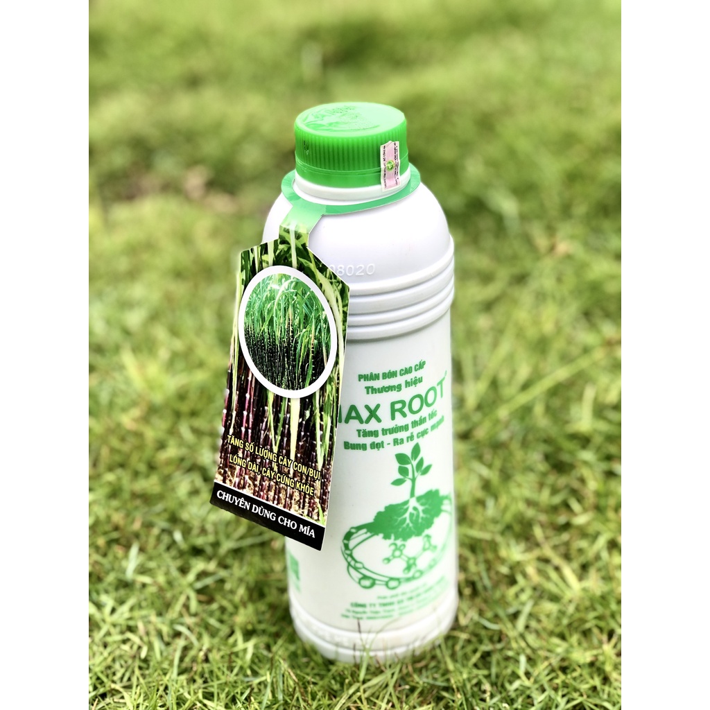 Phân Bón cho Mía MAX ROOT chai 1L - MẬP THÂN, RA RỄ, NỞ NỤI, ĐẺ NHÁNH, TĂNG ĐỘ NGỌT | Shopee ...