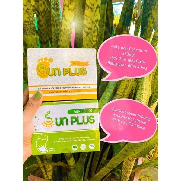 sunplus giá rẻ Tháng 5,2025 | BigGo Việt Nam