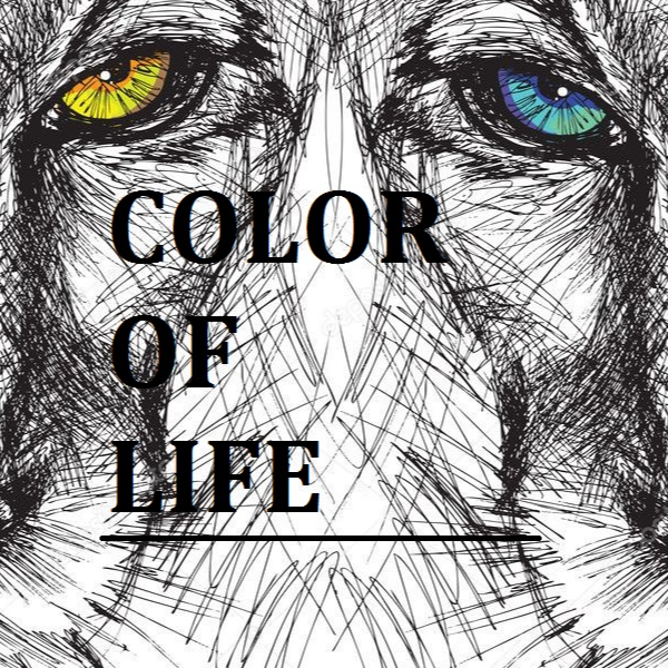 COLOR-OF-LIFE, Cửa hàng trực tuyến | Shopee Việt Nam