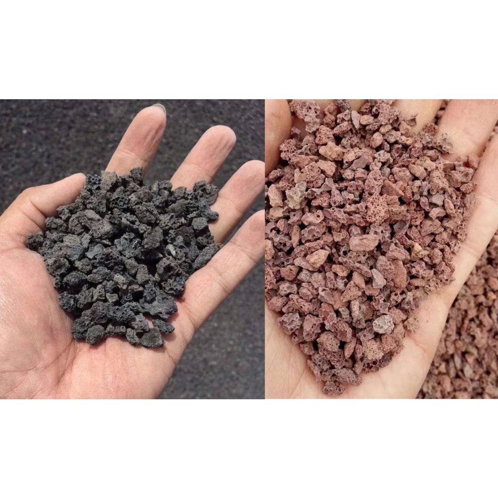 Mua Đá nham thạch Lava màu đỏ-đen cỡ nhỏ size 3-6mm trồng cây, rải bề ...