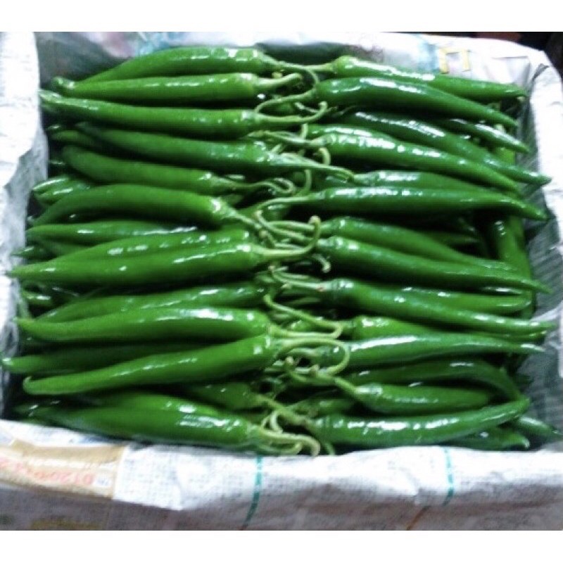 Mua lá mè , ớt sừng xanh ăn thịt nướng . giá rẻ nhất | TecKi.Vn