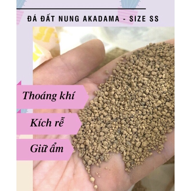 Mua 1 kí akadama size ss - đất rải mặt sen đá - đất nung giá rẻ nhất ...