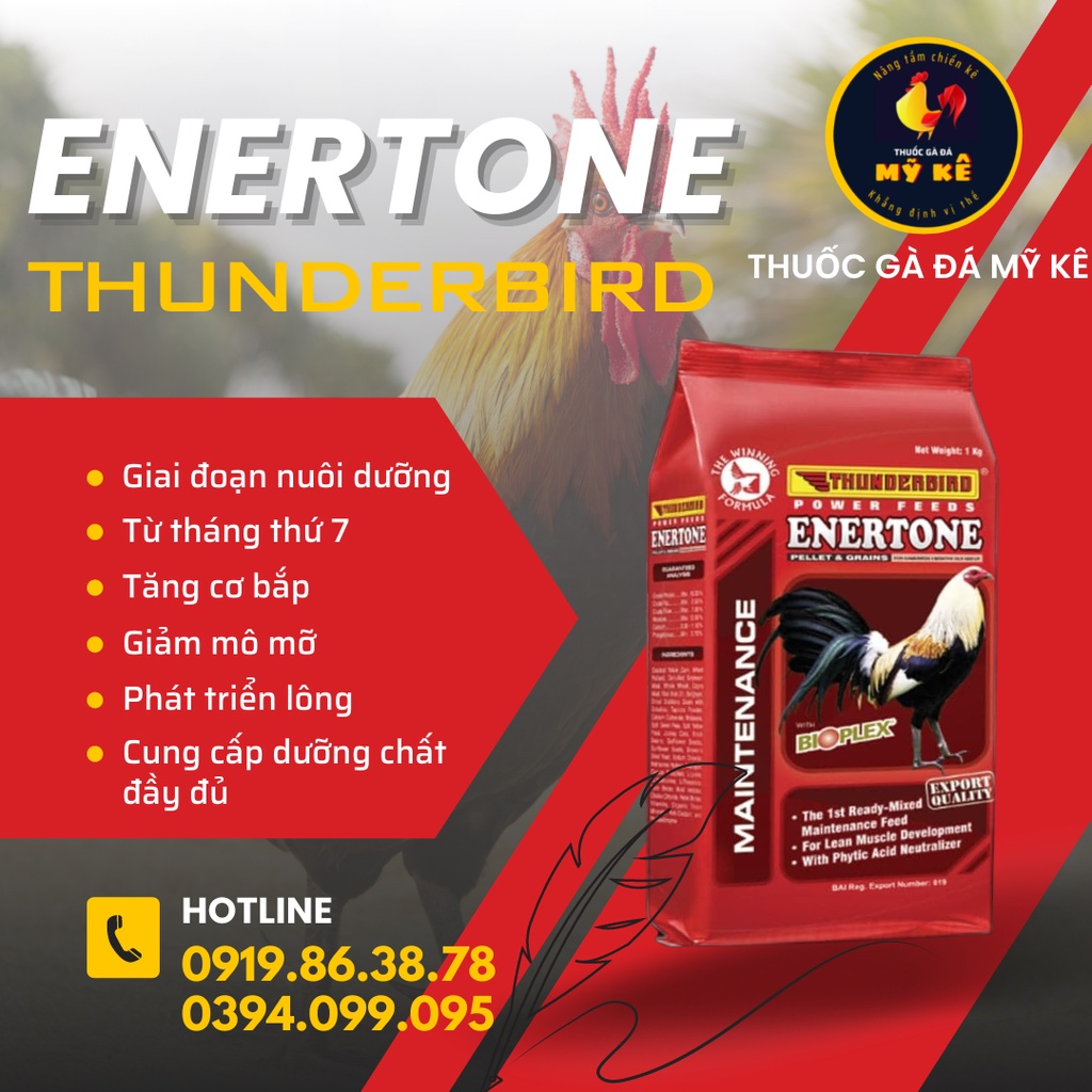 Metric - Nền tảng Số liệu E-commerce