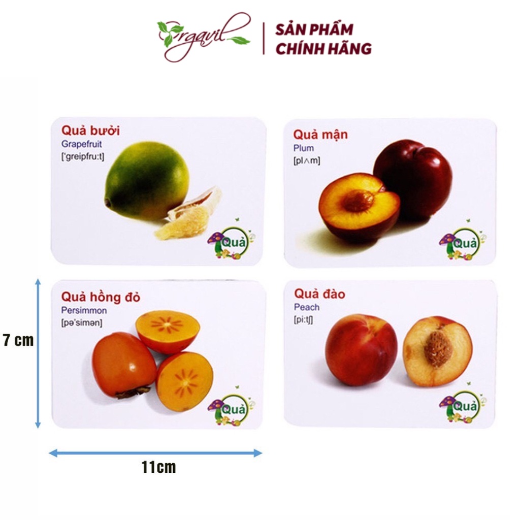 Mua Thẻ Glenn Doman Dạy Trẻ Biết Đọc Sớm, Nhận Biết Thế Giới - Thẻ ...