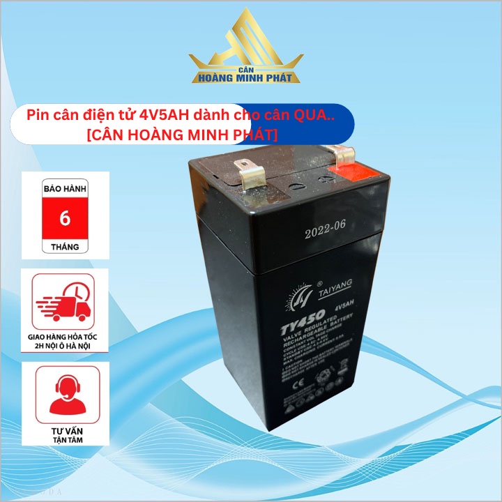 Mua Pin (Ắc Quy) Cân Điện Tử 4V/5AH, Bình Ắc quy khô (cân điện tử, loa ...