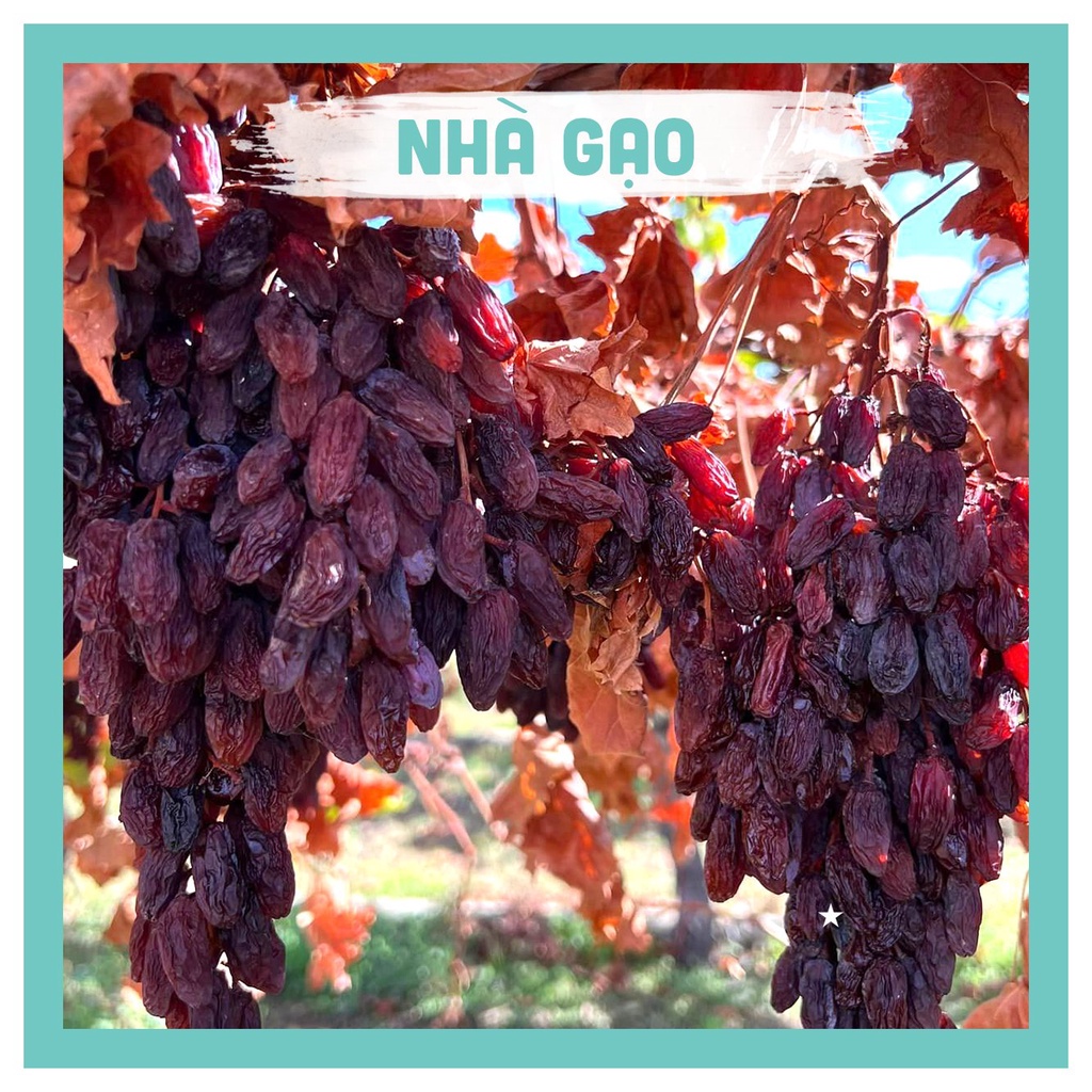 Chùm nho khô nguyên cành Crimson Úc Hàng farm loại 1 cao cấp | Shopee ...