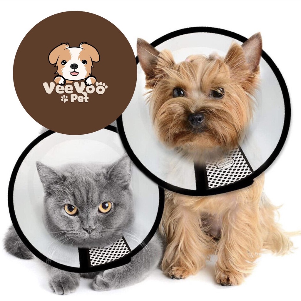 Vee Voo Pet, Cửa hàng trực tuyến | Shopee Việt Nam