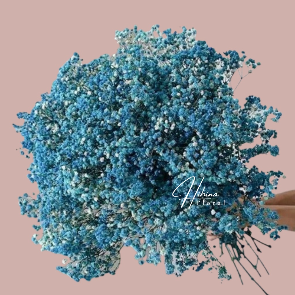 Hihina Floral, Cửa hàng trực tuyến | Shopee Việt Nam