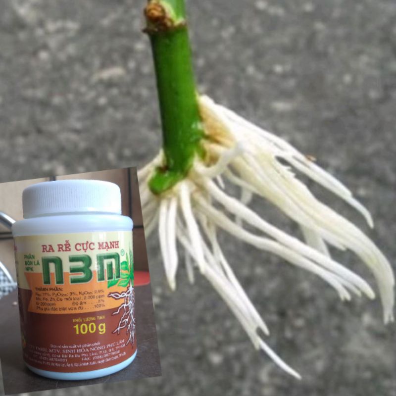 Mua Thuốc Kích Rễ N3m Và Keo Liền Da Cây, Mỗi Lọ 100g, Giúp Bộ Rễ Phát ...
