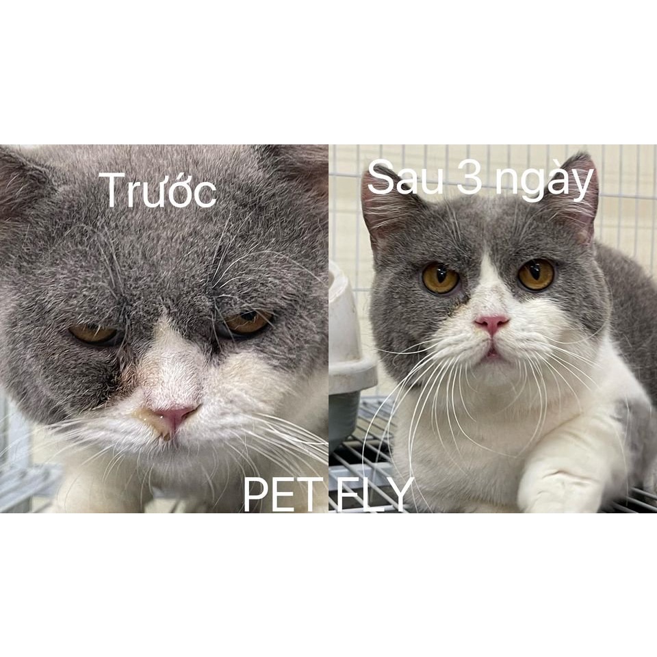 Mua Combo Vitamin dành cho chó mèo hô hấp, sổ mũi 5 tháng trở lên vs ...