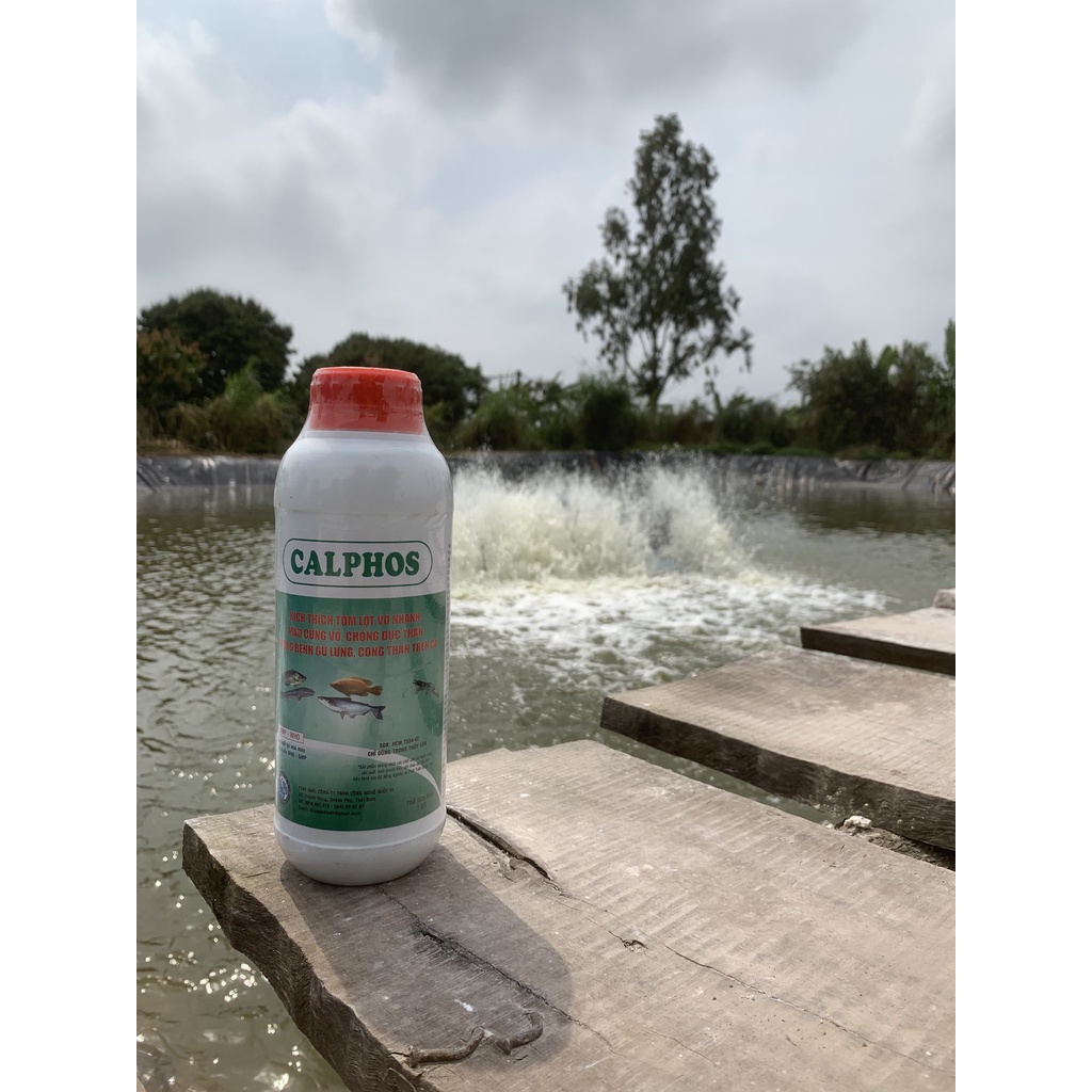 Mua Men vi sinh CALPHOS kích thích tôm lột vỏ nhanh mau cứng vỏ chống ...