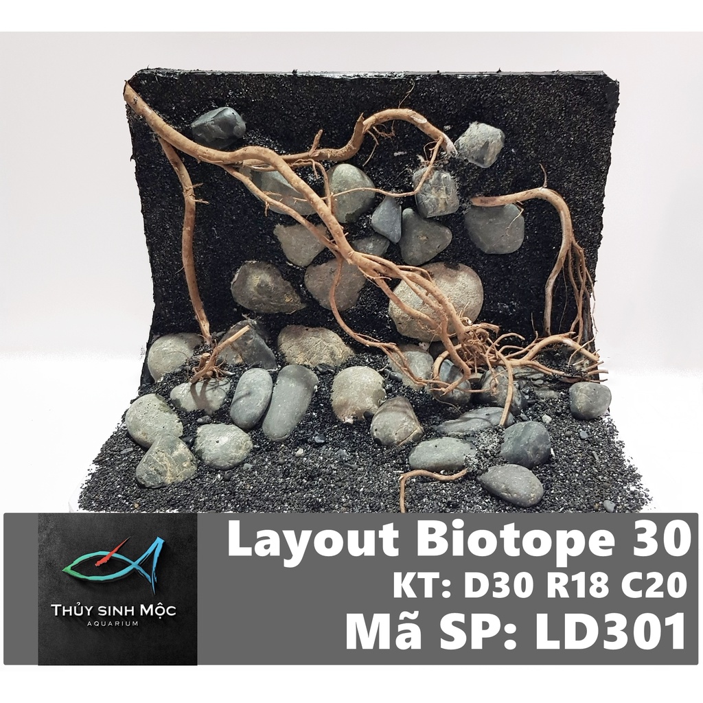 Layout Biotop (Không Cây) sử dụng cho bể Kích thước (D30 R18 C20 ...