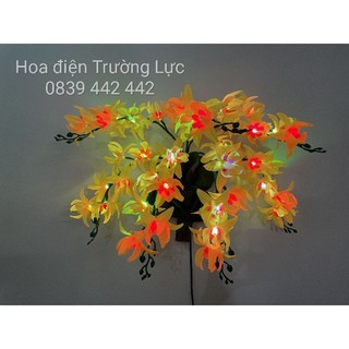 Hoa Lan Treo Tường- Hoa Trang Trí có Đèn | Shopee Việt Nam
