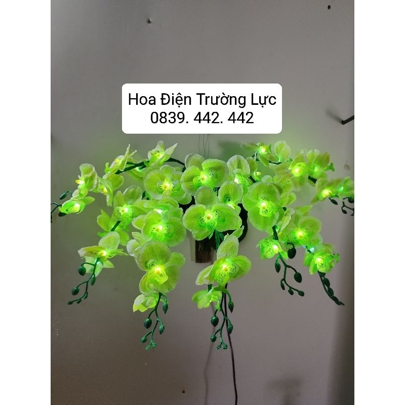 Hoa Lan Treo Tường- Hoa Trang Trí có Đèn | Shopee Việt Nam