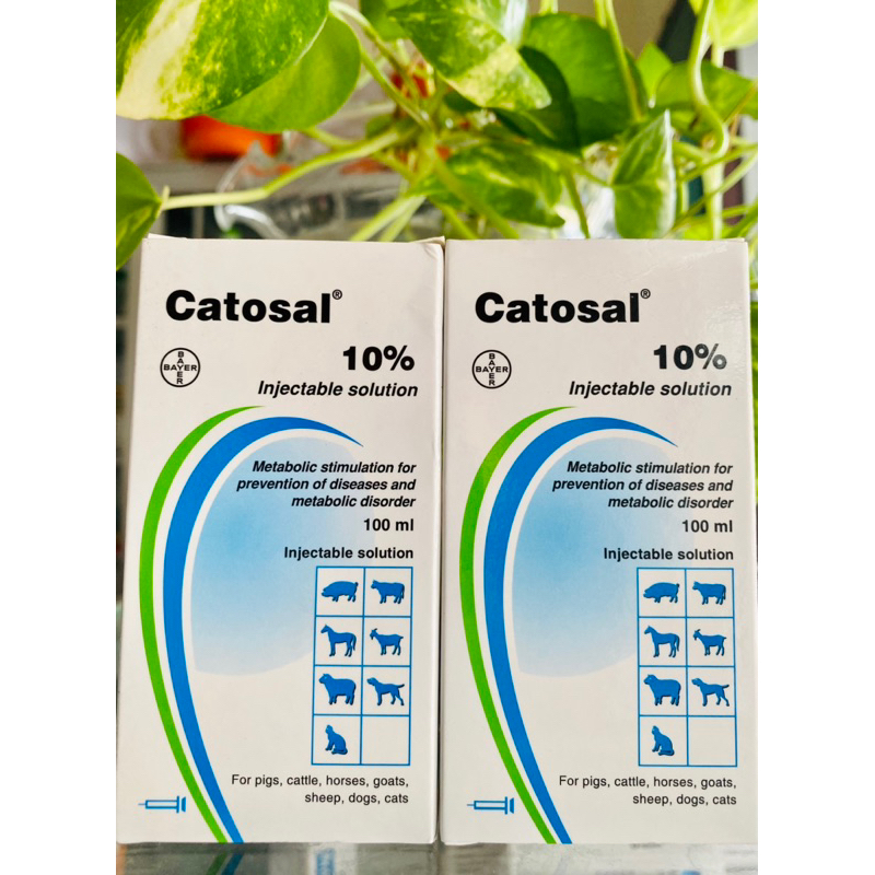 Catosal giá rẻ Tháng 9,2023|BigGo Việt Nam