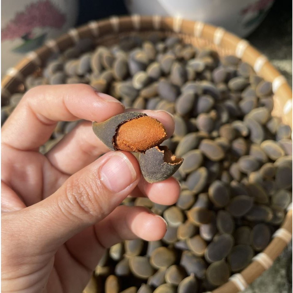 Mua Say Nhung,Xay Rim Đường,Say Rim Muối ớt Đặc Sản Phan Rang Ninh ...