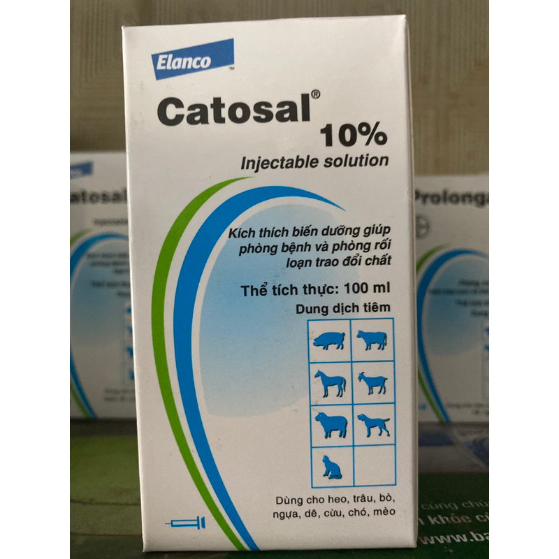 Catosal giá rẻ Tháng 9,2023|BigGo Việt Nam