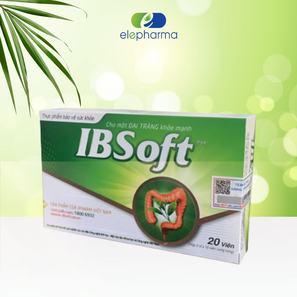 Ibsoft giá rẻ Tháng 5,2024|BigGo Việt Nam