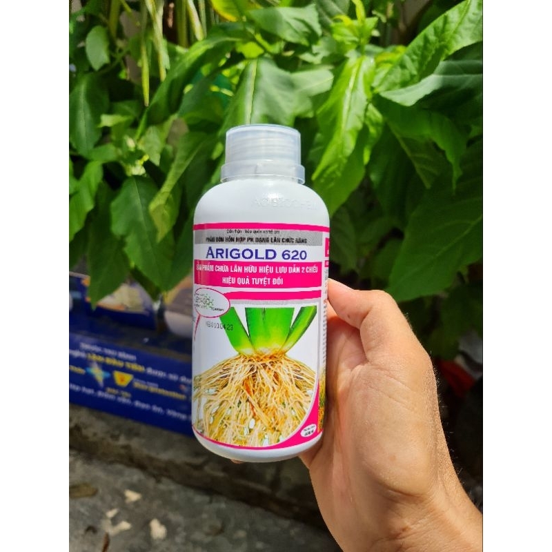 Agrigold giá rẻ Tháng 4,2024|BigGo Việt Nam