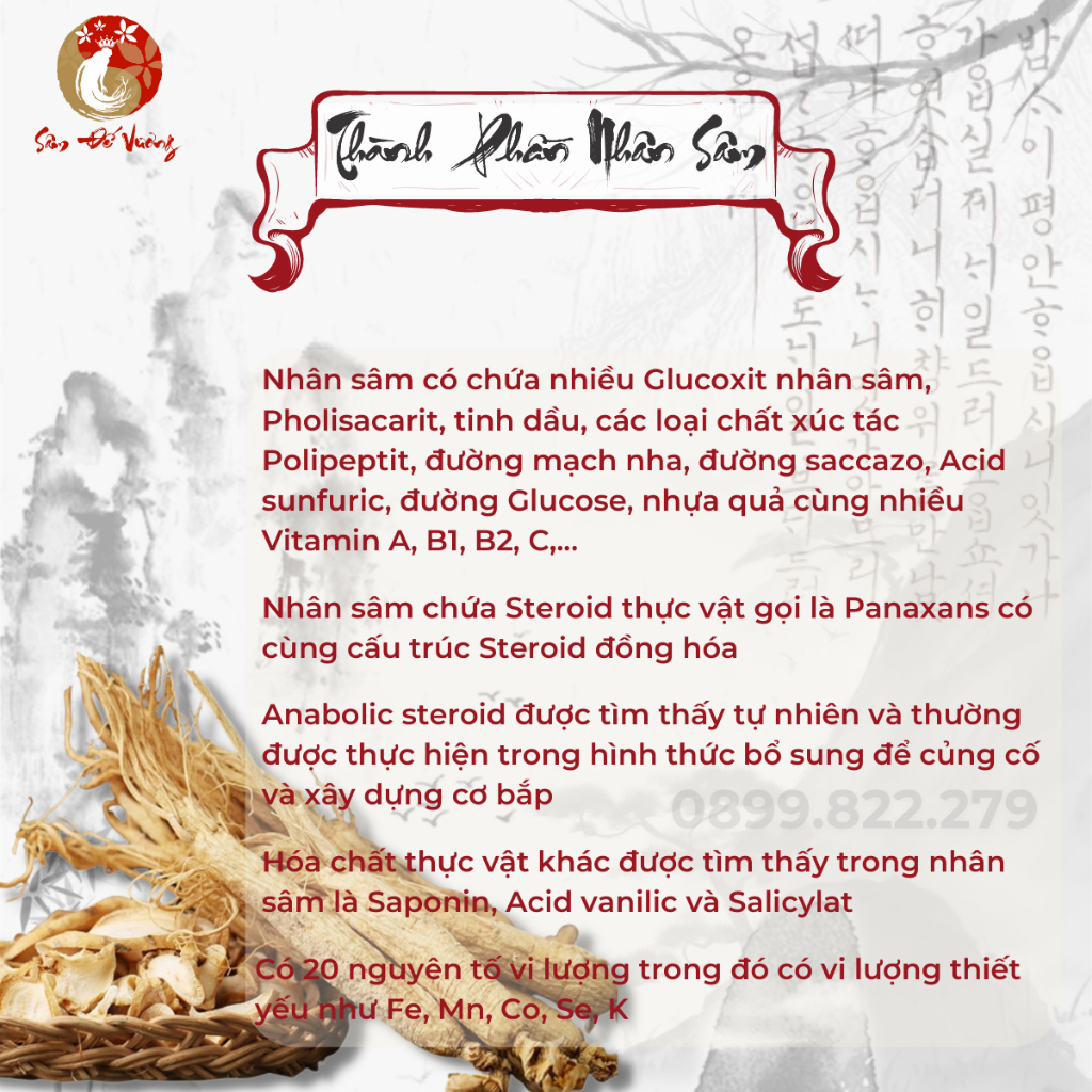 Mua Bạch Sâm Cát Lâm Tự Nhiên Thượng Hạng 8 - 12 Năm Tuổi - Giúp Tuần ...