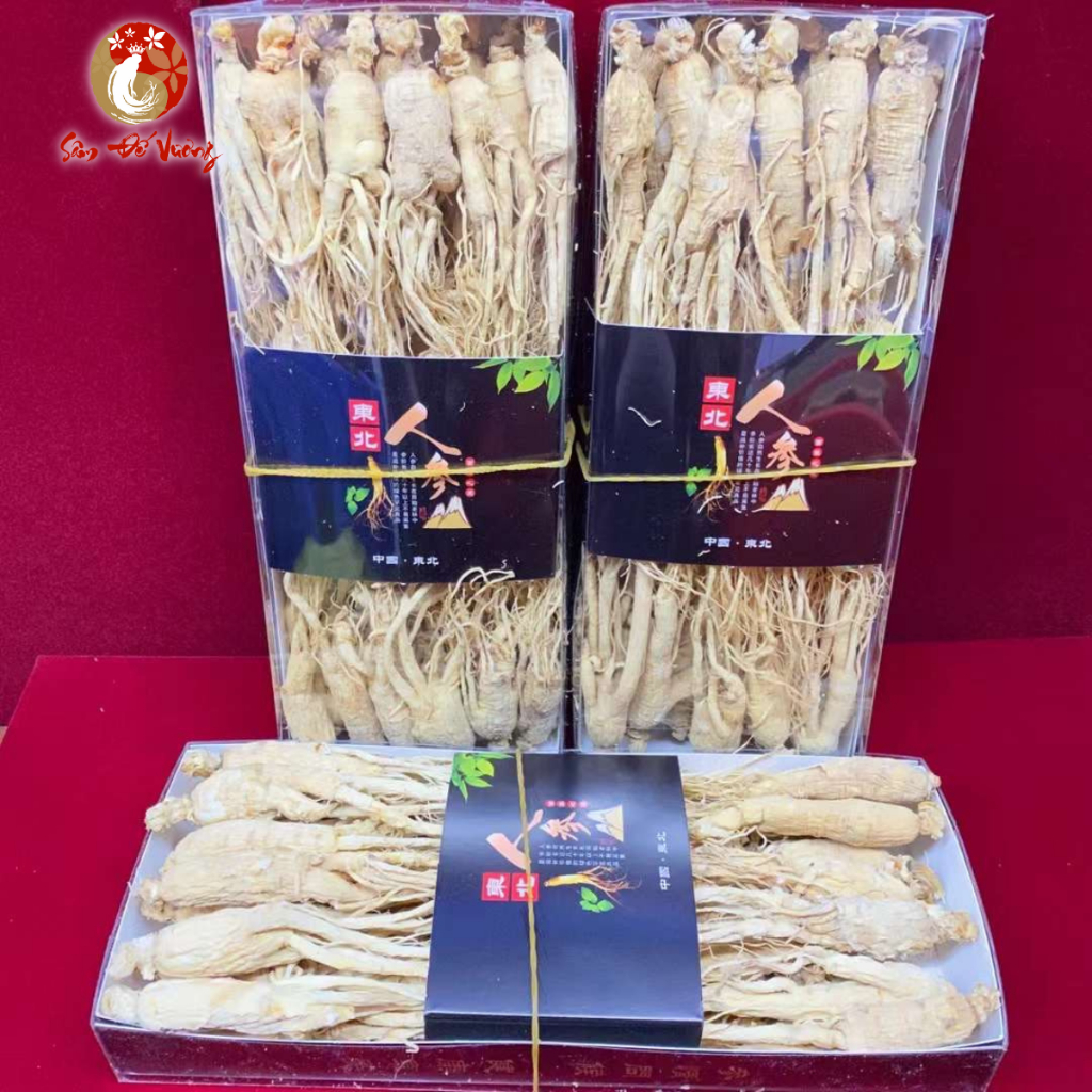 Mua Bạch Sâm Cát Lâm Tự Nhiên Thượng Hạng 8 - 12 Năm Tuổi - Giúp Tuần ...