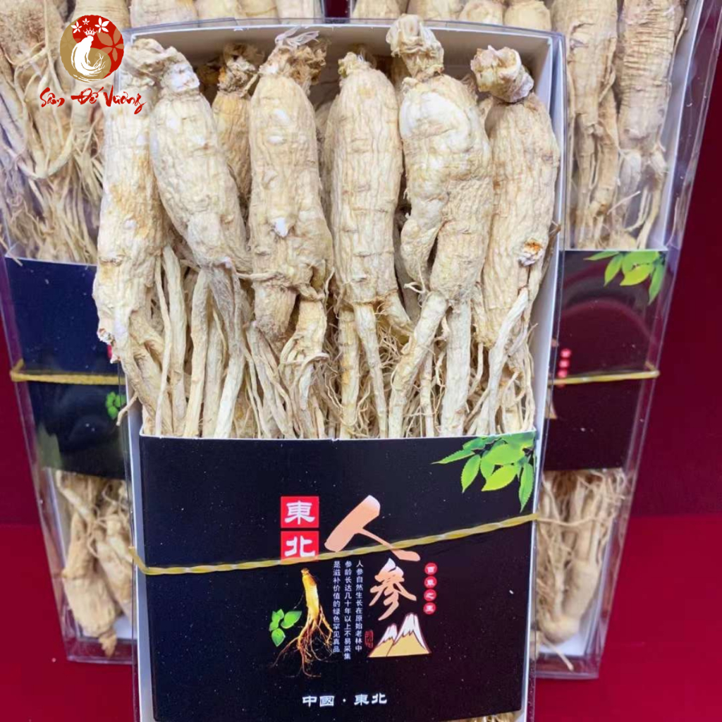 Mua Bạch Sâm Cát Lâm Tự Nhiên Thượng Hạng 8 - 12 Năm Tuổi - Giúp Tuần ...