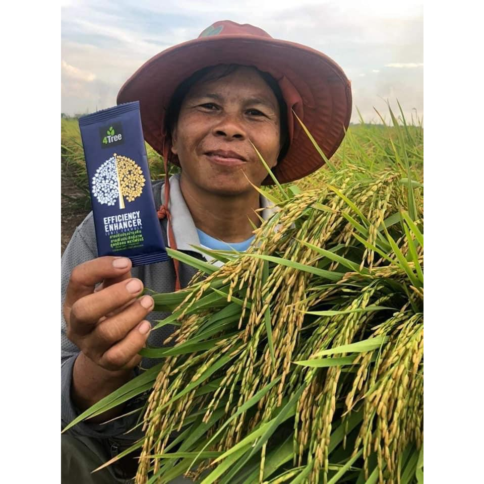 4tree giá rẻ Tháng 1,2024|BigGo Việt Nam