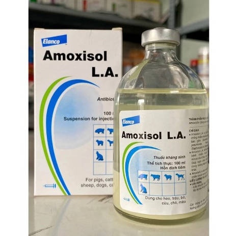 Amoxisol giá rẻ Tháng 1,2024|BigGo Việt Nam