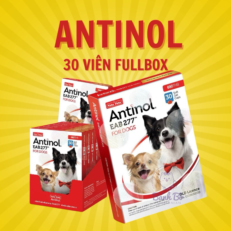 Antinol giá rẻ Tháng 6,2024|BigGo Việt Nam