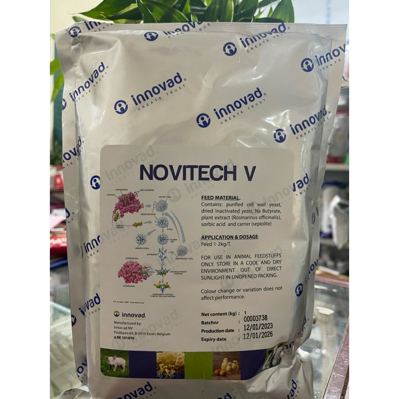 novitech giá rẻ Tháng 12,2024|BigGo Việt Nam