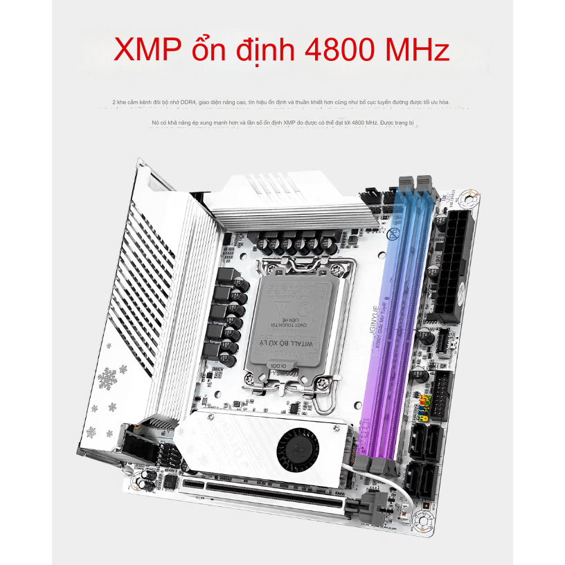 jginyue b760i giá rẻ Tháng 9,2024|BigGo Việt Nam