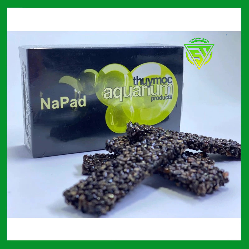 Napat giá rẻ Tháng 12,2023|BigGo Việt Nam